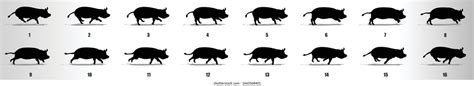 rhinoceros run cycle animation frames silhouette เวกเตอร์สต็อก ปลอด
