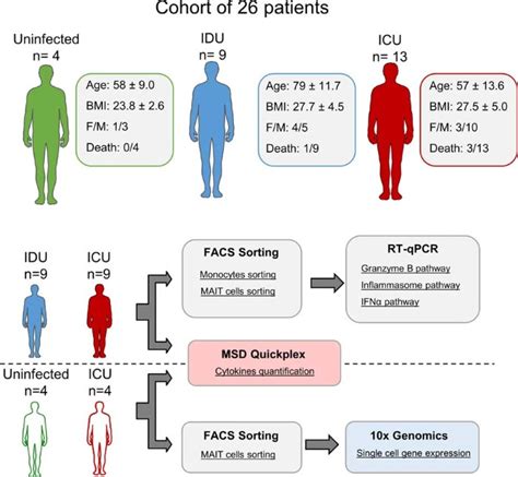outcome of sars cov 2 infection is linked to mait cell activation and