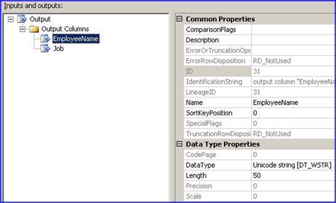 oracle parameterized queries in sql integration services ssis