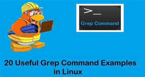 20 useful grep command examples in linux