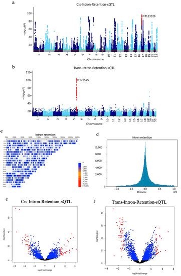 Ijms Free Full Text Identification Of Candidate Mrna Isoforms For