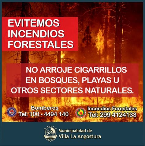 Recomendaciones Para Prevenir Incendios Forestales Angostura Informa