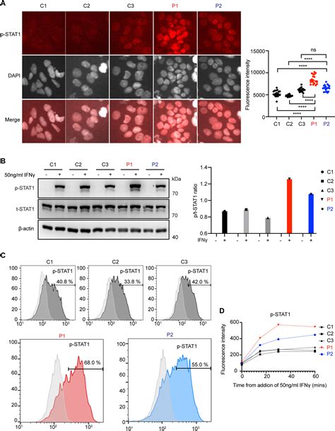 Recapitulating Primary Immunodeficiencies With Expanded Potential Stem