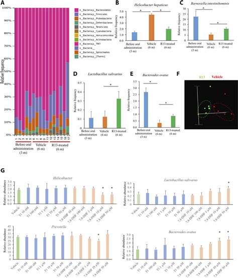 Gut Dysbiosis Contributes To Amyloid Pathology Associated With C Ebpβ
