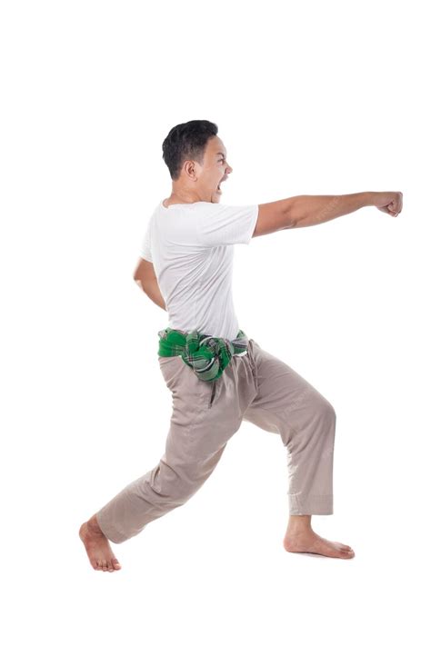 Premium Photo Pencak Silat Indonesian Malaysian Asian Traditional