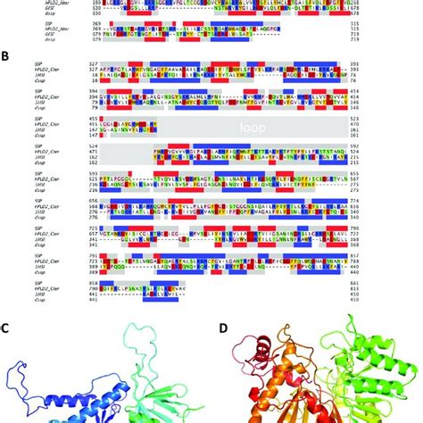 structural modeling chains a and b of human pld2 sequence alignments