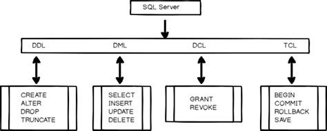 what is sql in sql server