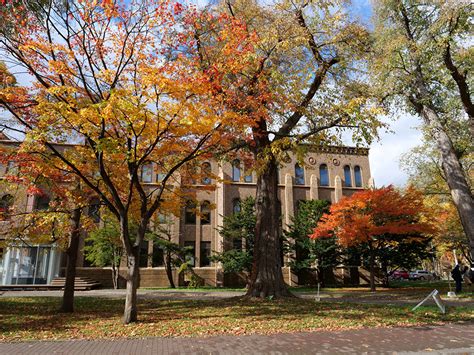 Pictures Japan Hokkaido University Sapporo Autumn Trees Cities