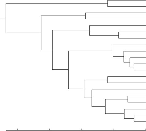 Dendrogram Resulting From Upgma Cluster Analysis Of 20 Genotypes Of
