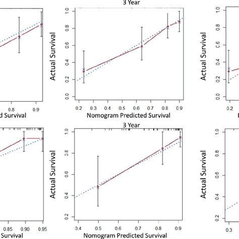 A Calibration Curve For Internal Validation Of The Nomogram Model For
