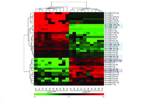 heatmap representing the unsupervised hierarchical