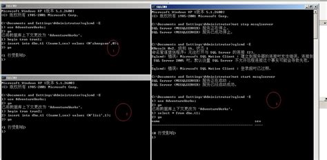 sql server 2005 之事务日志体系 一 echo 博客园