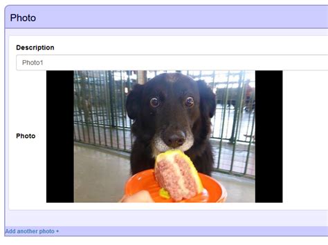 html how to display base64 image in angularjs stack