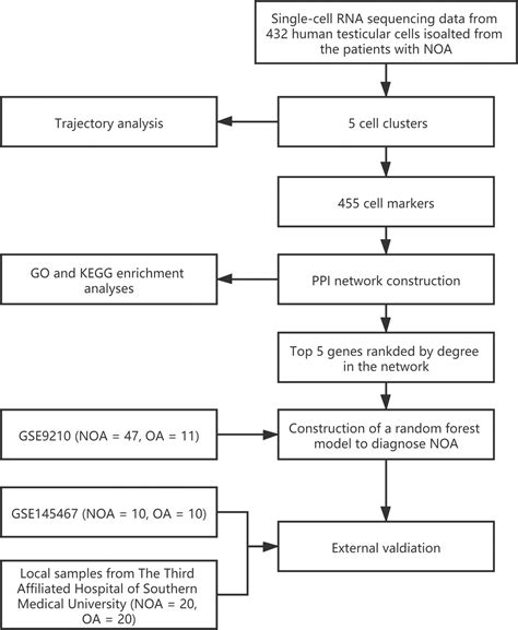 Construction And External Validation Of A 5 Gene Random Forest Model To