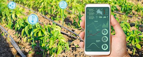 What Role Can Smart Irrigation Play In Todays Agricultural Sector
