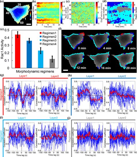 Regions Of Spectrally Homogeneous Cell Edge Motion Have Distinct Rac1