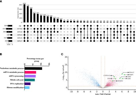 Frontiers A Combined Immunopeptidomics Proteomics And Cell Surface