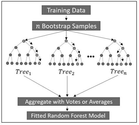 a figure showing the random forest algorithm fitting process