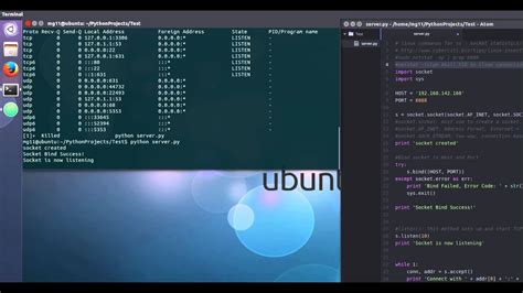 python socket program server client with android client