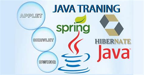 s it computer institute for big data sas oracle informatica java