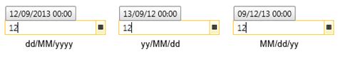 wpf datetimepicker parsing without separators telerik ui for wpf
