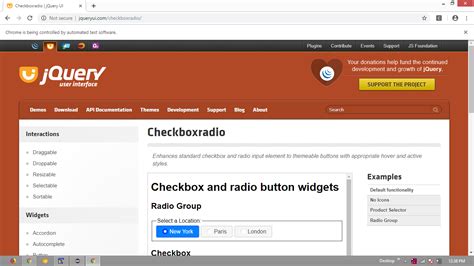 java how to locate the element using relative xpath for radiobutton