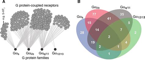 Complex Interactivity Of Human Gpcrs And G Proteins A Network