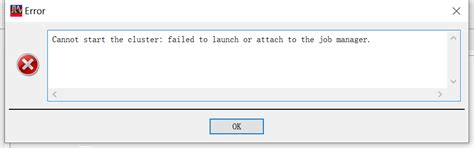 cannot start the cluster failed to launch or attach to the job