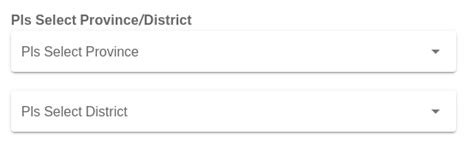 vue js vuejs auto fill selected dropdown list relate
