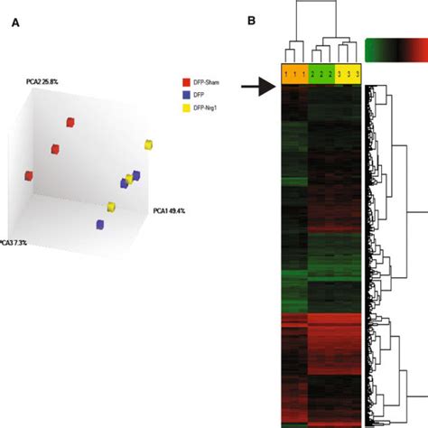 Pathway Analyses Of Gene Differentially Regulated By Nrg 1 Pretreatment