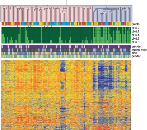 Two Way Hierarchical Clustering Based On The Expression Levels Of 676