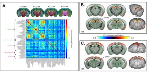 Shows The Temporal Correlations Of Normalized Low Frequency