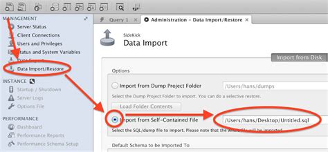 export table data mysql database workbench scapevast