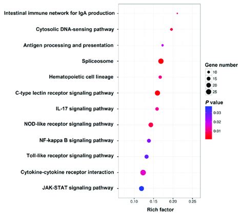 The Interaction Network Formed By Immune Related Degs The Nodes In The