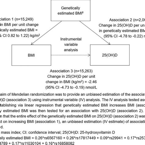 Two Sample Mendelian Randomization Of Body Mass Index And Vitamin D In