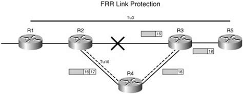 Mpls Fast Reroute Network Virtualization