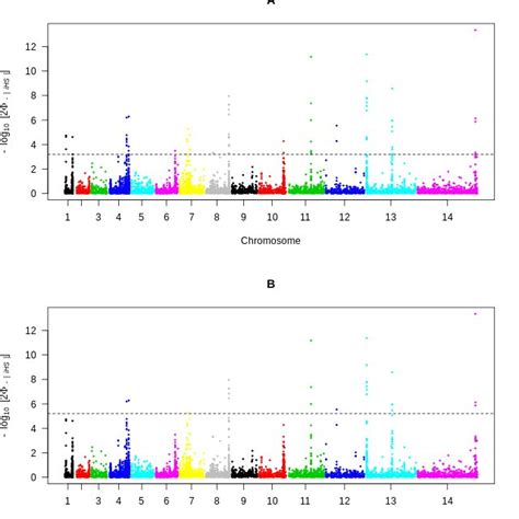 Genome Wide Manhattan Plot Scan Of Standardized Ihs For Snps With