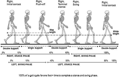 Gait Parameter Definitions Download Scientific Diagram