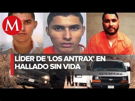 Cartel De Sinaloa Los Antrax