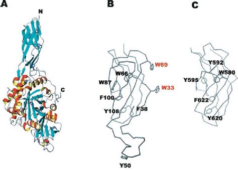 Figure 9 From Solution Structure Of The Fibronectin Type Iii Domain