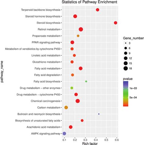 Kegg Pathway Analysis Of Differentially Expressed The Genes Between