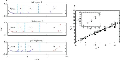 Temporal And Spatial Evolution Of Drop Splashing In The Early Stages Of
