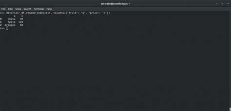 pandas dataframe tutorial a complete guide don t miss the