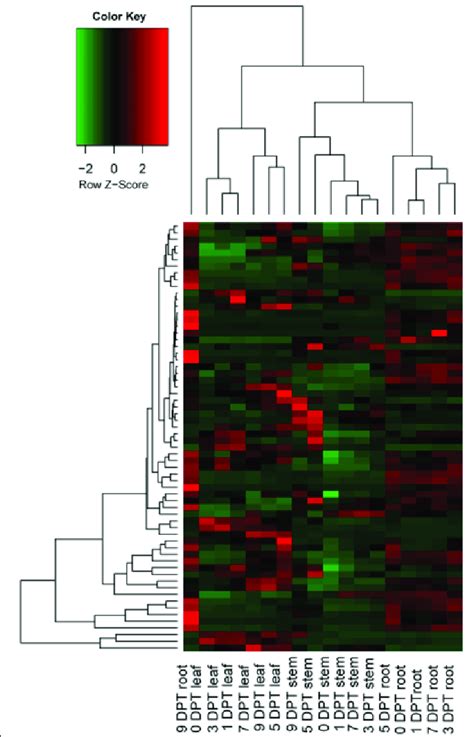 Hierarchical Clustering Of Differentially Expressed Tfs From 18