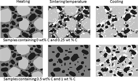Schematic Representation Of Microstructure Development As A Function Of