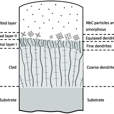 Schematic Illustration Of Microstructure Distribution In The