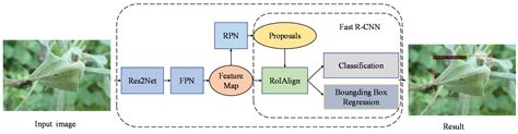 Agriculture Free Full Text A High Precision Detection Method Of