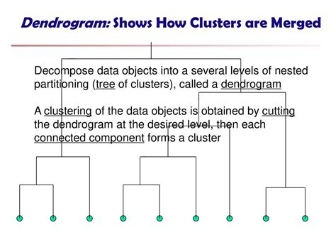 Data Mining Clustering Ppt Download