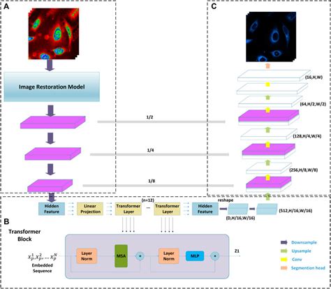 Frontiers Pixel Level Multimodal Fusion Deep Networks For Predicting