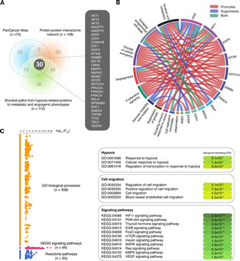 Integration Of Multi Omics Approaches And Functional Enrichment